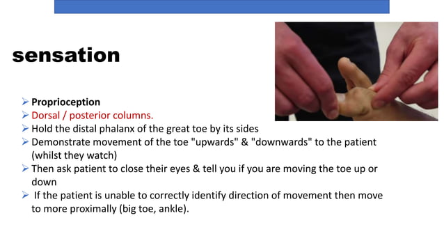 LOWER LIMB EXAMINATION.pptxThe neurologic examination is typically ...