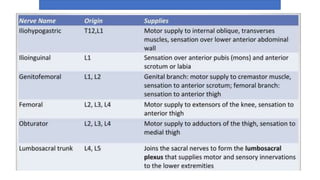 LOWER LIMB EXAMINATION.pptxThe neurologic examination is typically ...