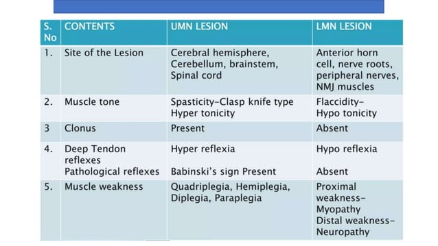 LOWER LIMB EXAMINATION.pptxThe neurologic examination is typically ...