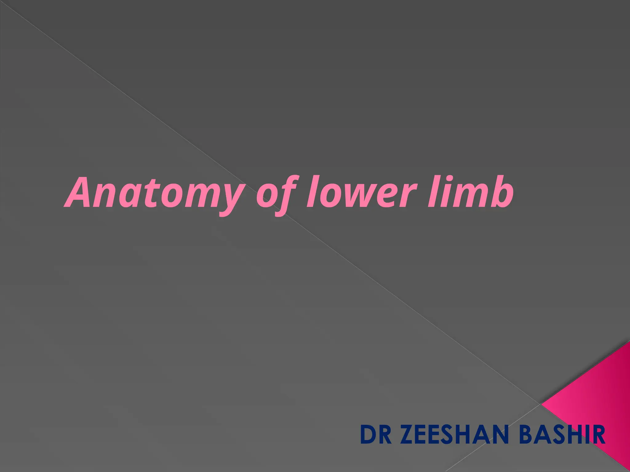 anatomy of the LOWER LIMB bones FINAL.pptx