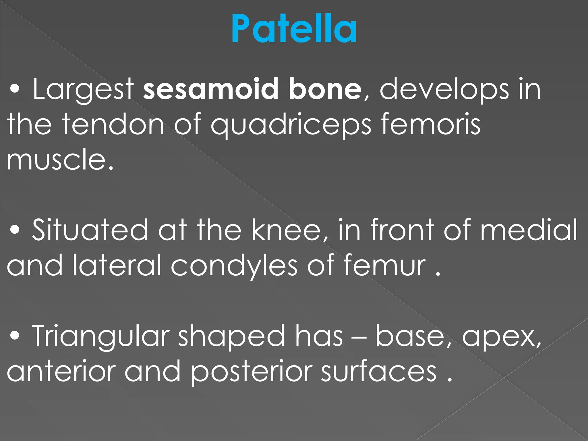 anatomy of the LOWER LIMB bones FINAL.pptx