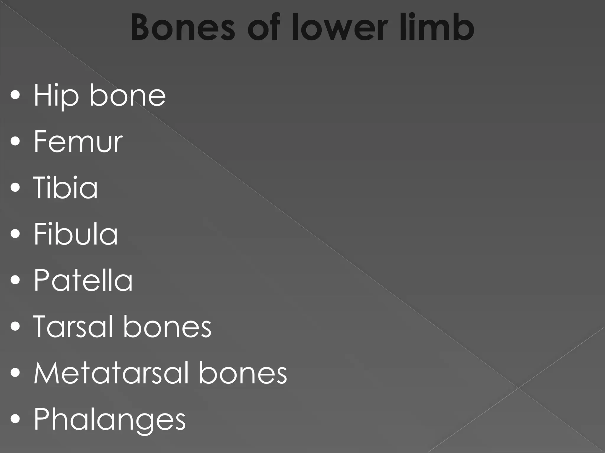 anatomy of the LOWER LIMB bones FINAL.pptx