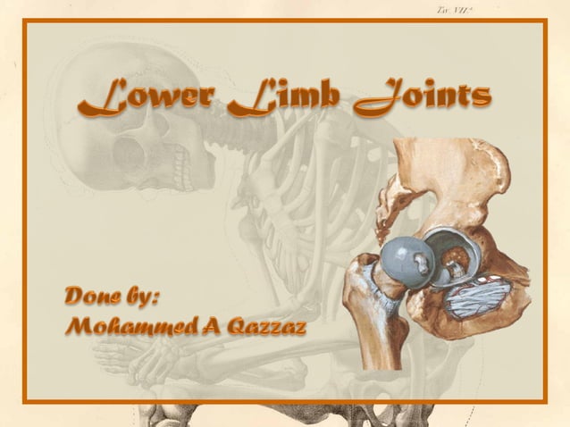 Lower limb joints | PPT