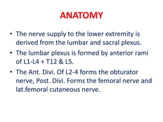 Lower limb mpuh | PPT