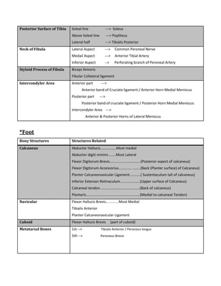 Lower limb muscles attachment | PDF