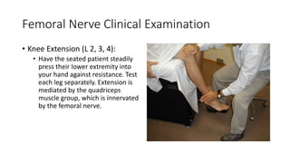 lower limb nerve injury.pptx