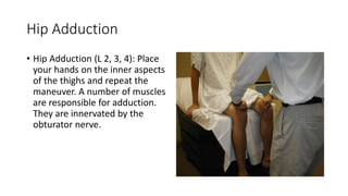 lower limb nerve injury.pptx