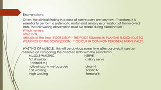 LOWER LIMB NERVE INJURY Clinical orthopedics.pptx