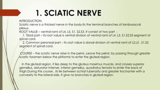 LOWER LIMB NERVE INJURY Clinical orthopedics.pptx