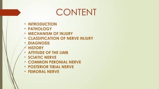 LOWER LIMB NERVE INJURY Clinical orthopedics.pptx
