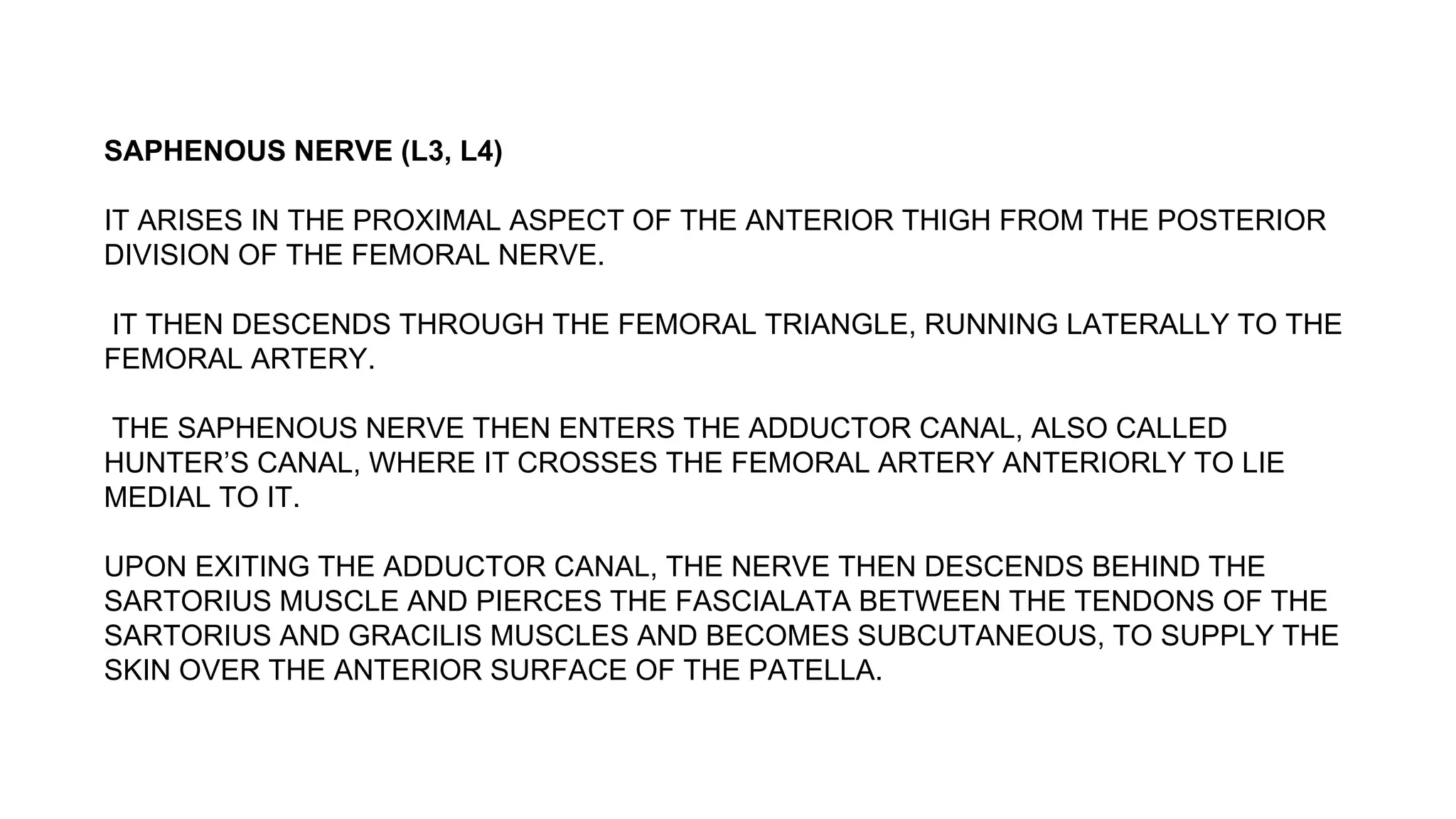 lowerlimb nerves.ppt