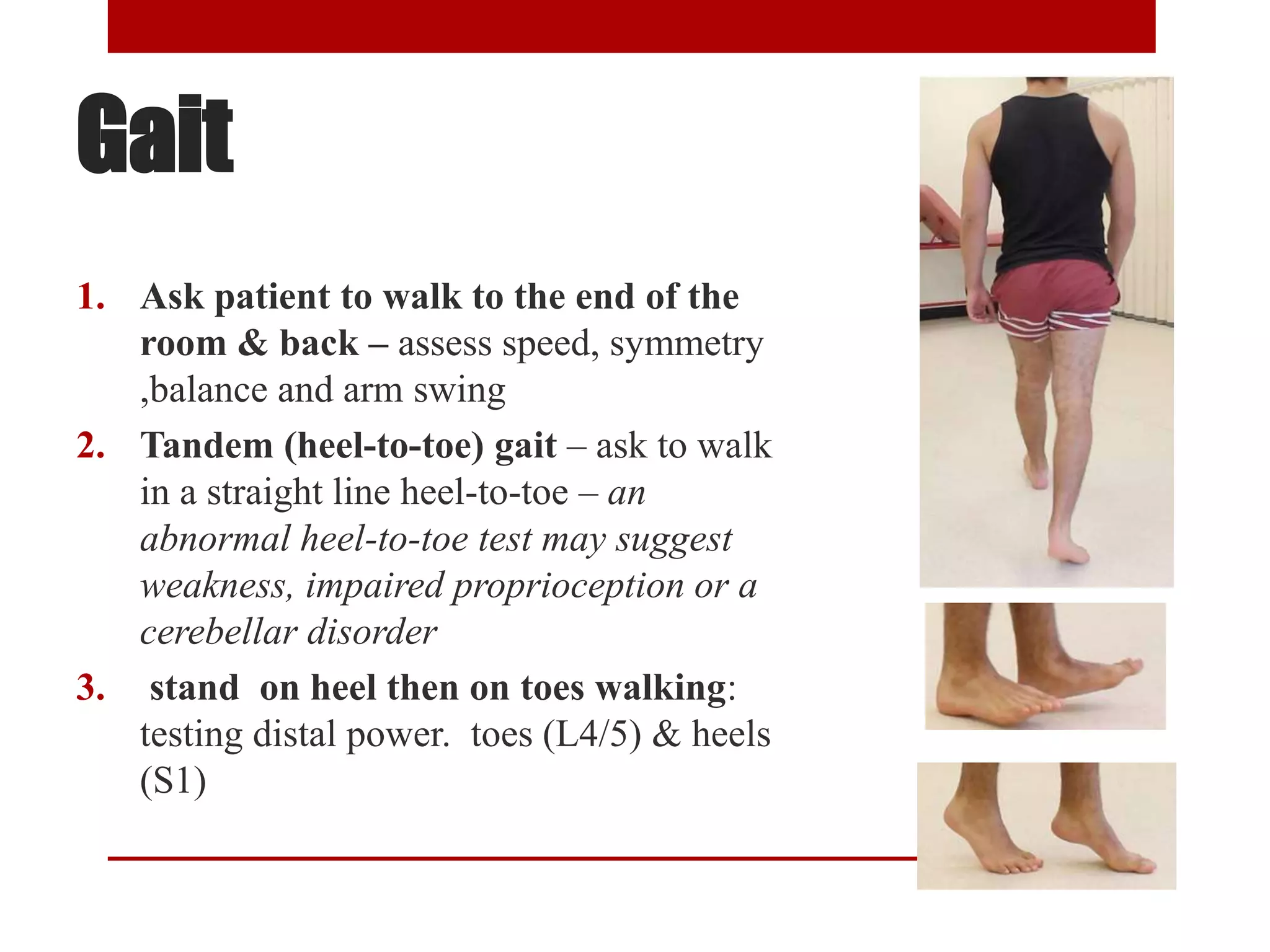 Lower limb neurological examination | PPTX