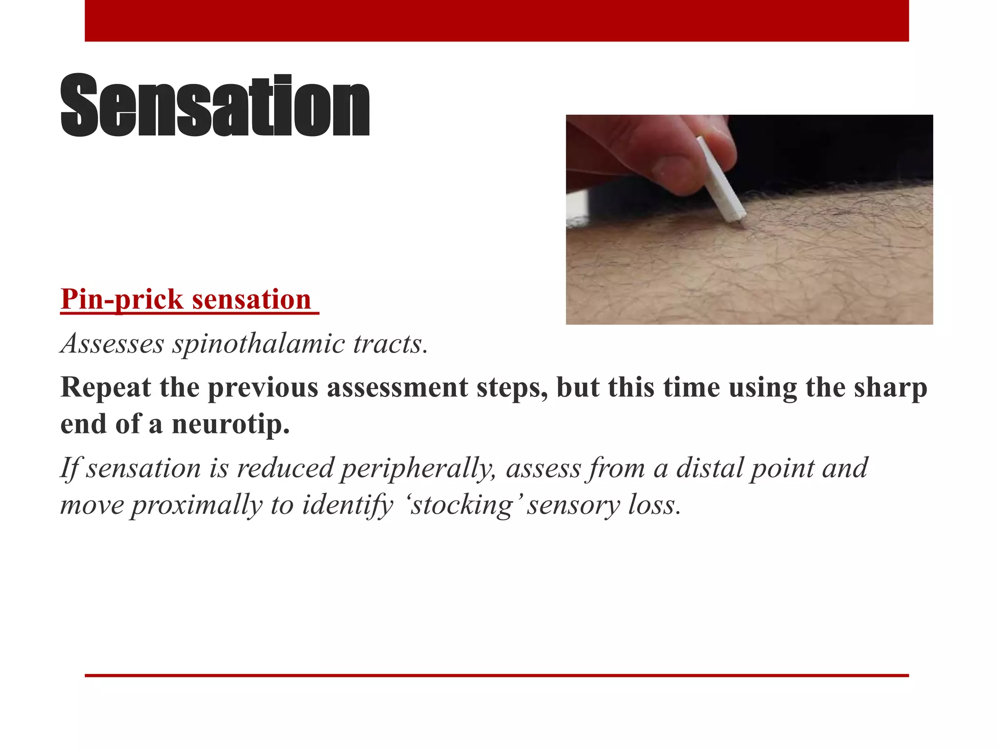 Lower limb neurological examination | PPTX