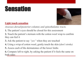 Lower limb neurological examination | PPTX