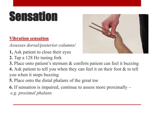 Lower limb neurological examination | PPTX | Death, Injury, or Military ...