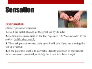 Lower limb neurological examination | PPTX