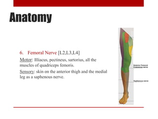 Lower limb neurological examination | PPTX