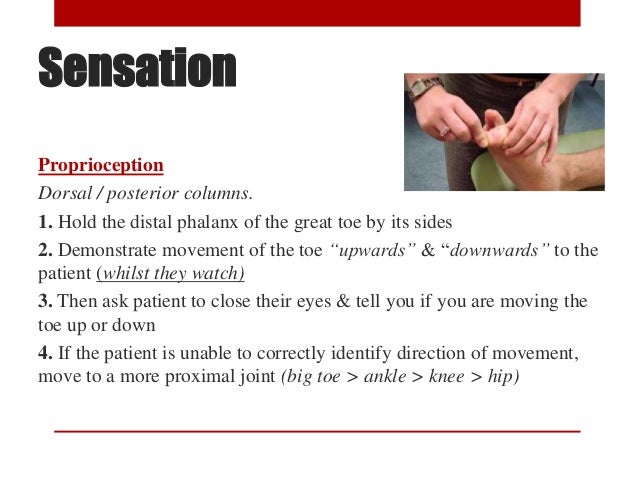 Lower limb neurological examination
