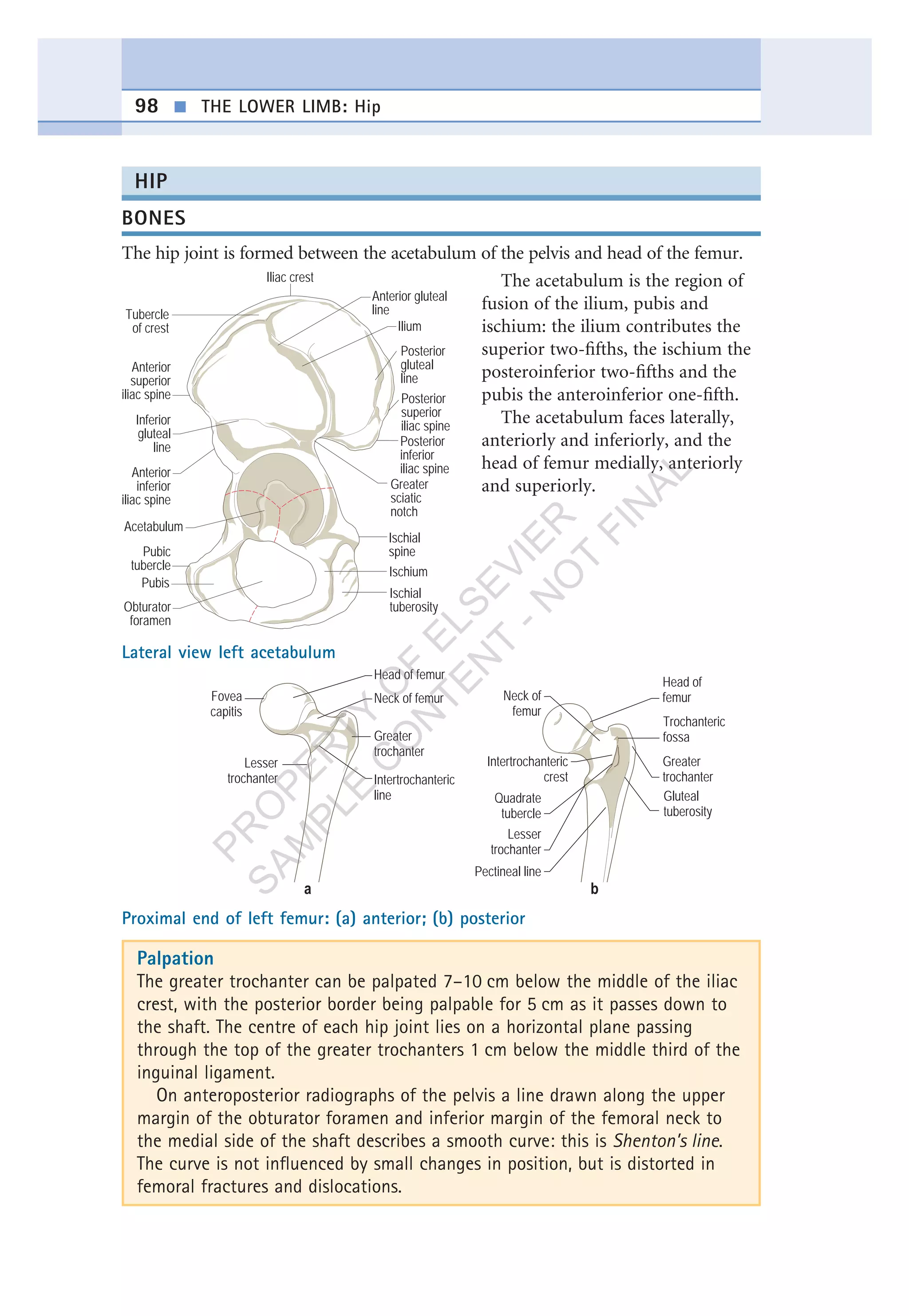 Lower limb nice note | PDF