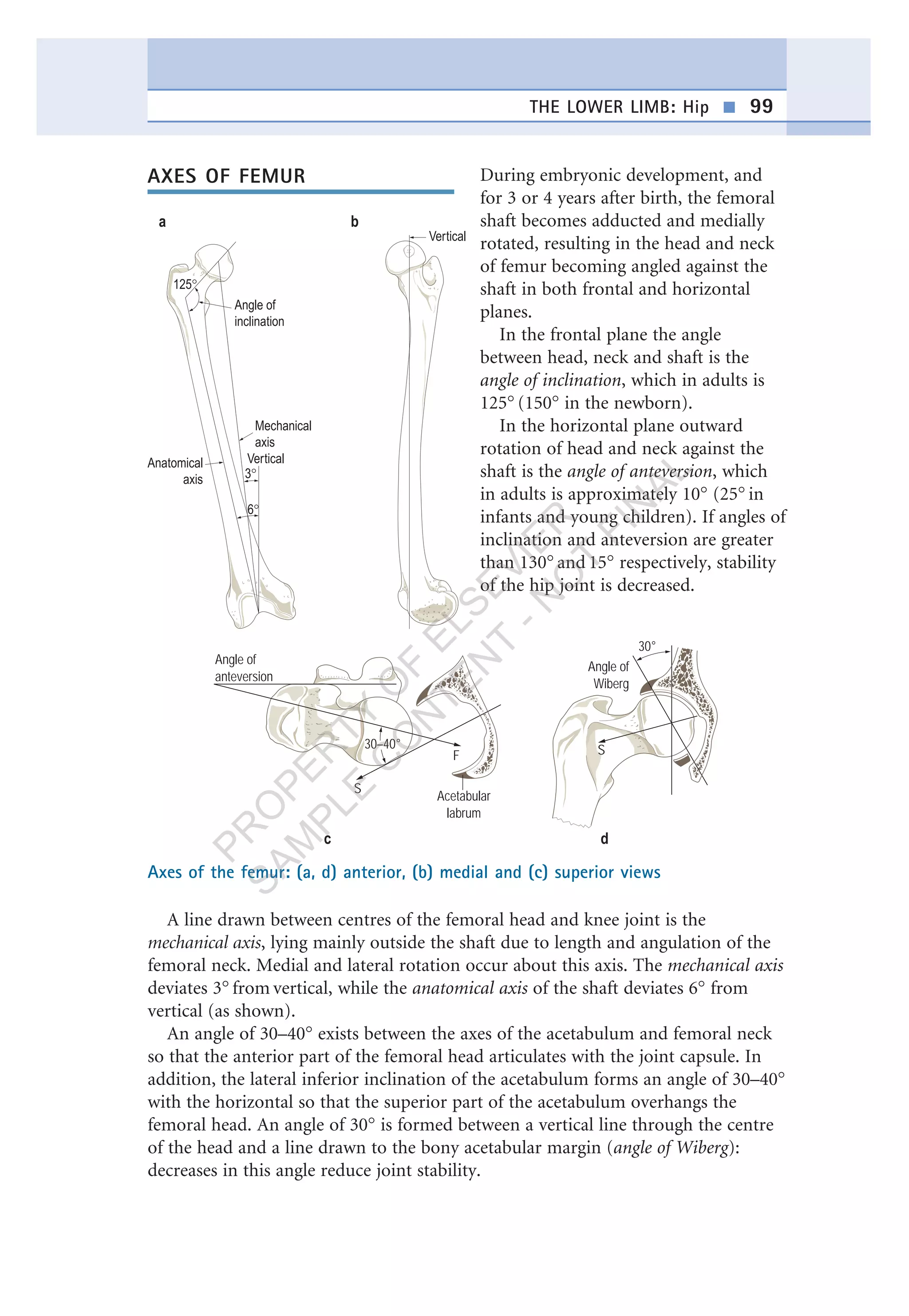Lower limb nice note | PDF