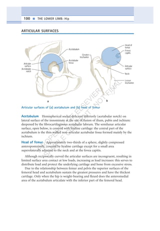 Lower limb nice note | PDF
