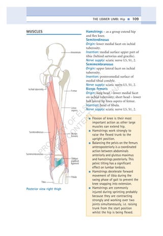 Lower limb nice note | PDF