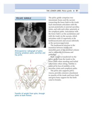 Lower limb nice note | PDF