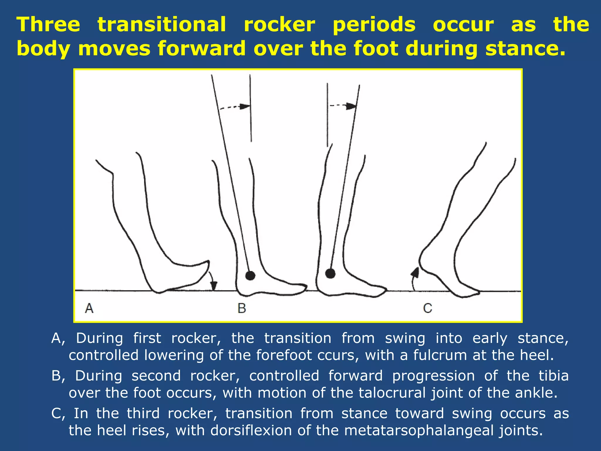 Lower Limb Orthotics - Dr Rajendra Sharma | PPT