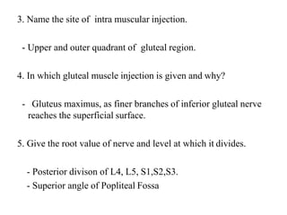 lower limb PBL ppt it expalin about the lower question | PPTX