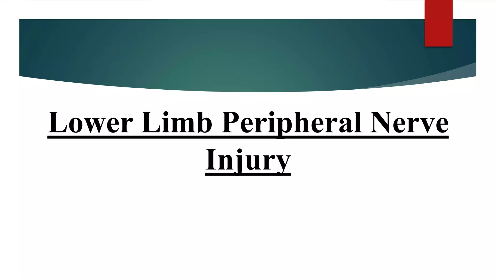 Lower limb peripheral nerve injury | PPTX