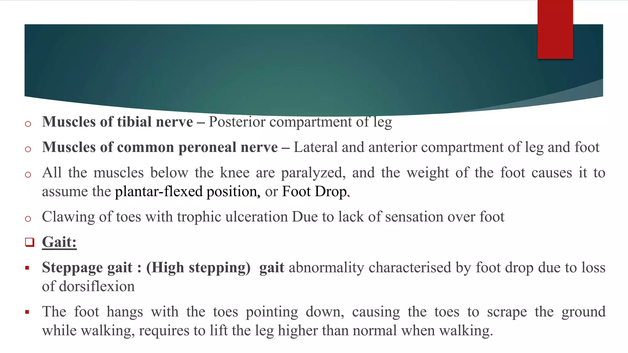 Lower limb peripheral nerve injury | PPTX