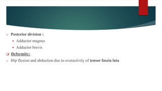 Lower limb peripheral nerve injury | PPTX