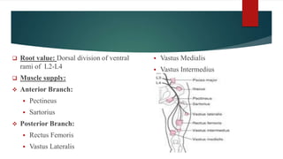 Lower limb peripheral nerve injury | PPTX