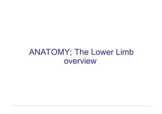 CLASS NOTES ON Lower limb PRESENTATION.ppt