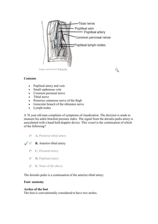 MRCS preparation emrcs questions Lowerlimb | PDF