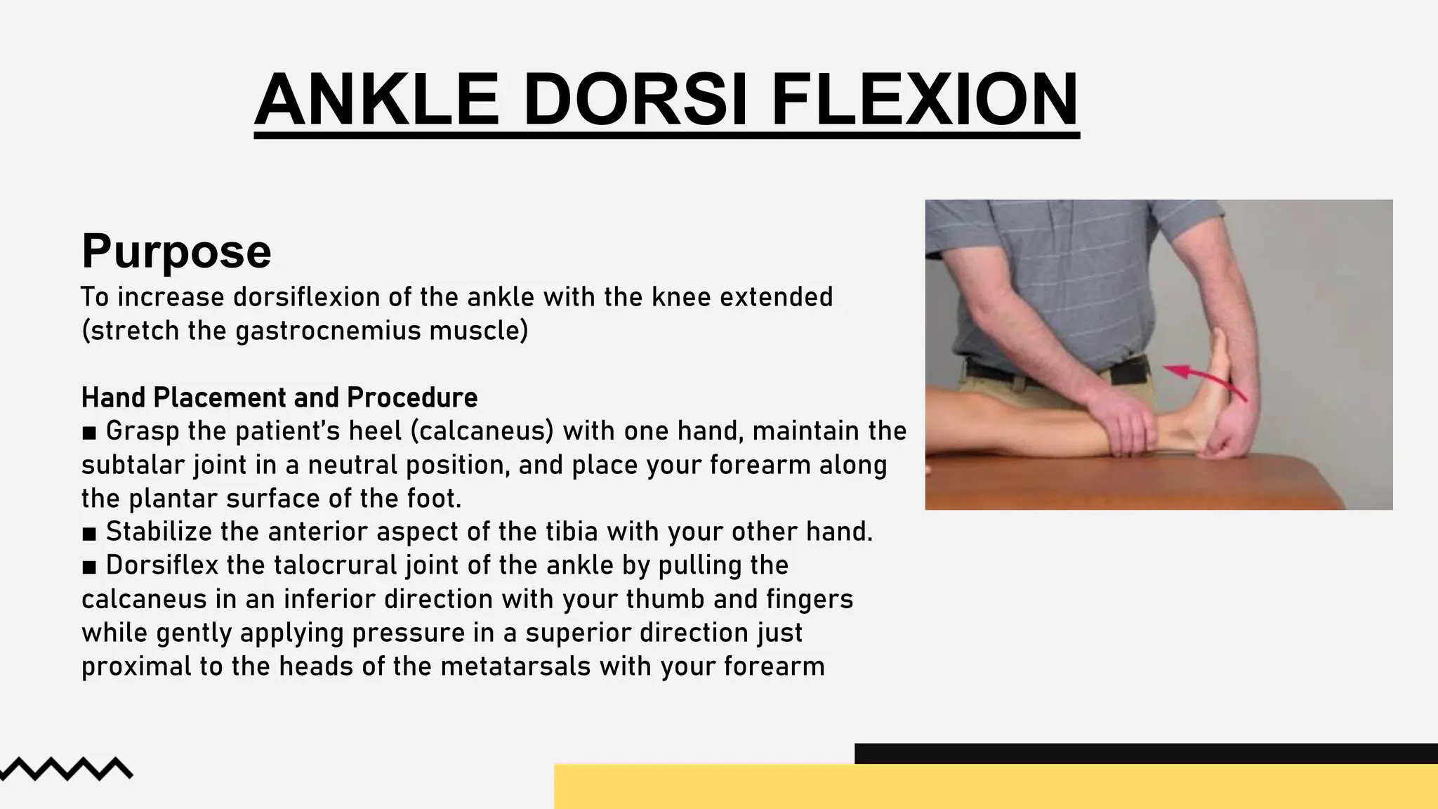 Lower Limb Stretching (1).pdf flexio n | PPT