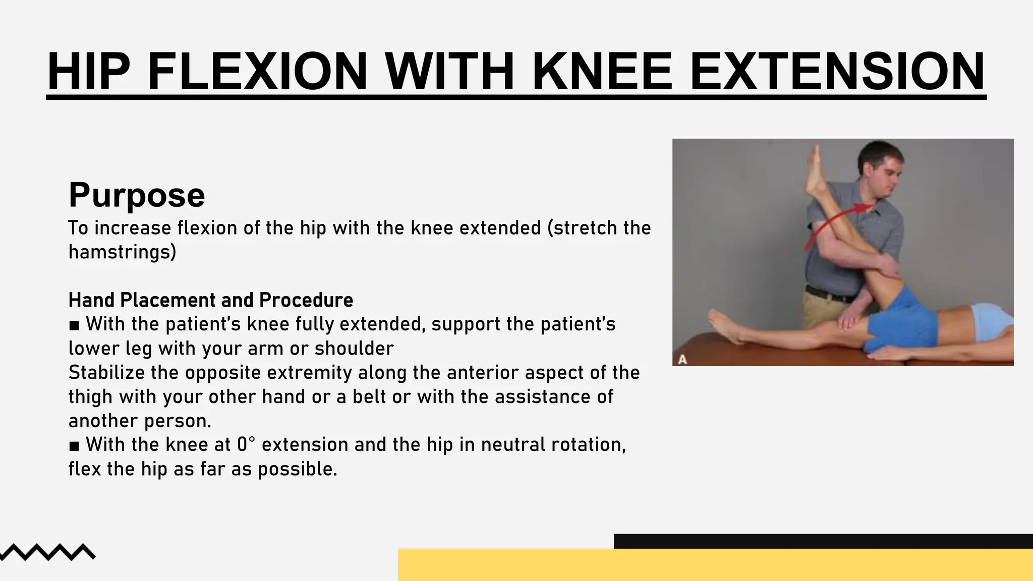 Lower Limb Stretching (1).pdf flexio n | PPT