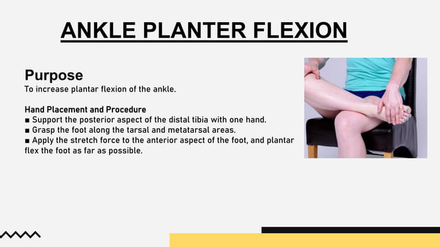 Lower Limb Stretching (1).pdf flexio n | PPT