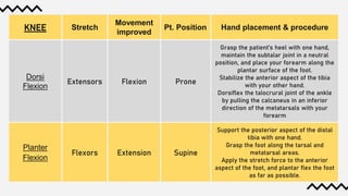 Lower Limb Stretching (1).pdf flexio n | PPT