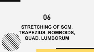 Lower Limb Stretching (1).pdf flexio n | PPT