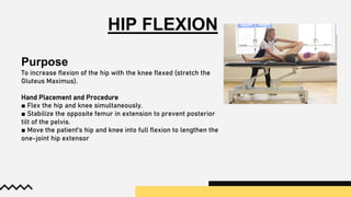 Lower Limb Stretching (1).pdf flexio n | PPT