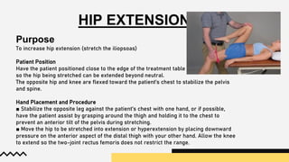 Lower Limb Stretching (1).pdf flexio n | PPT