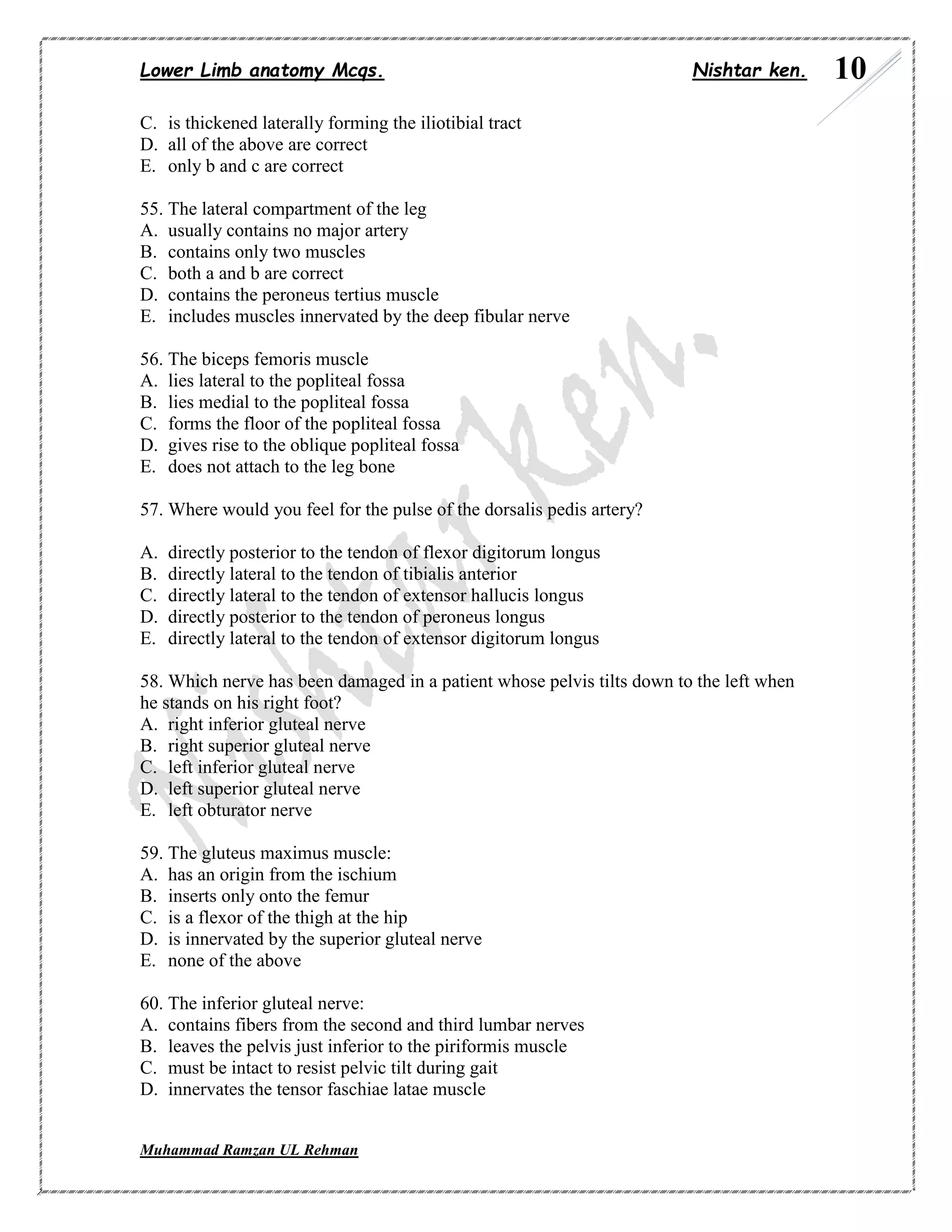 Lower limb MCQs | PDF