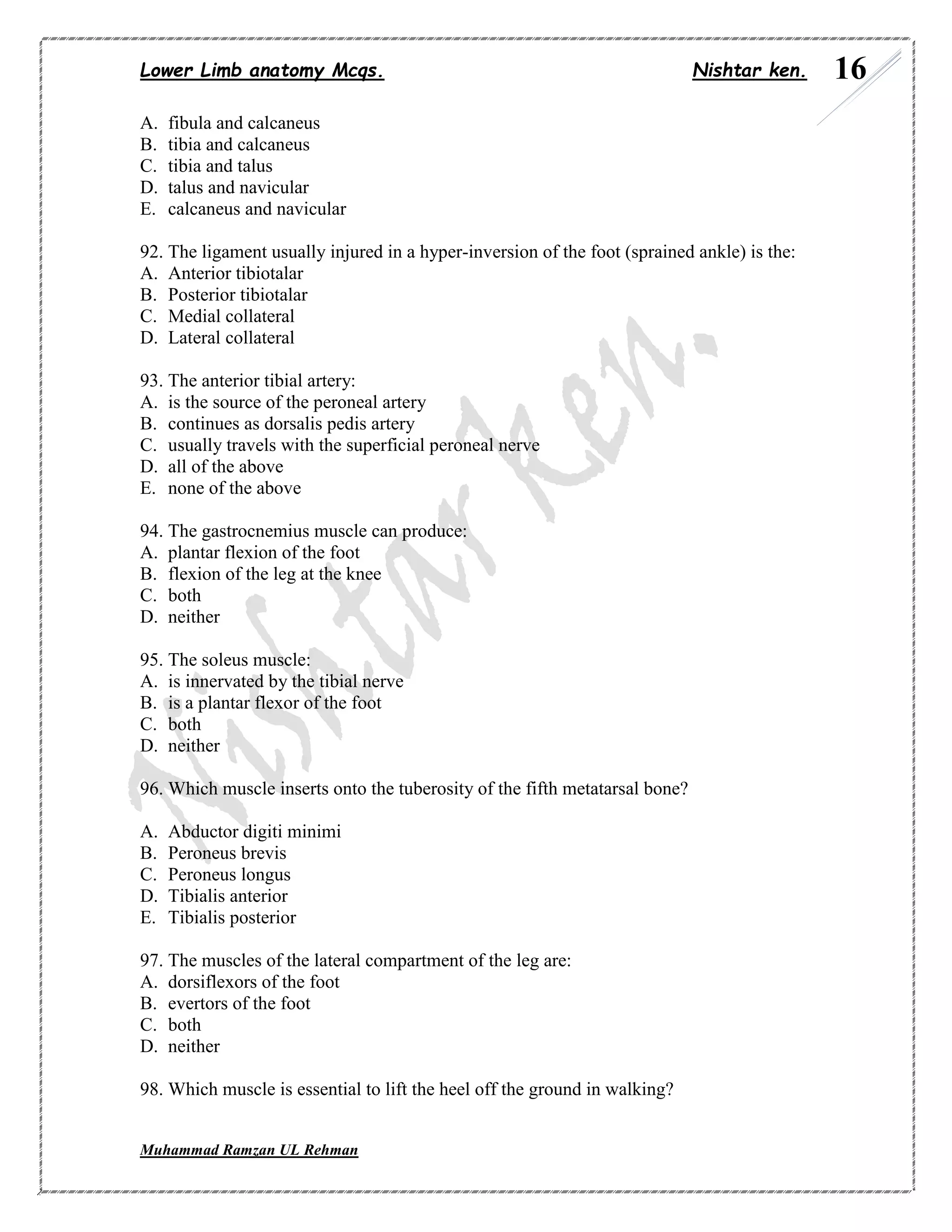 Lower limb MCQs | PDF