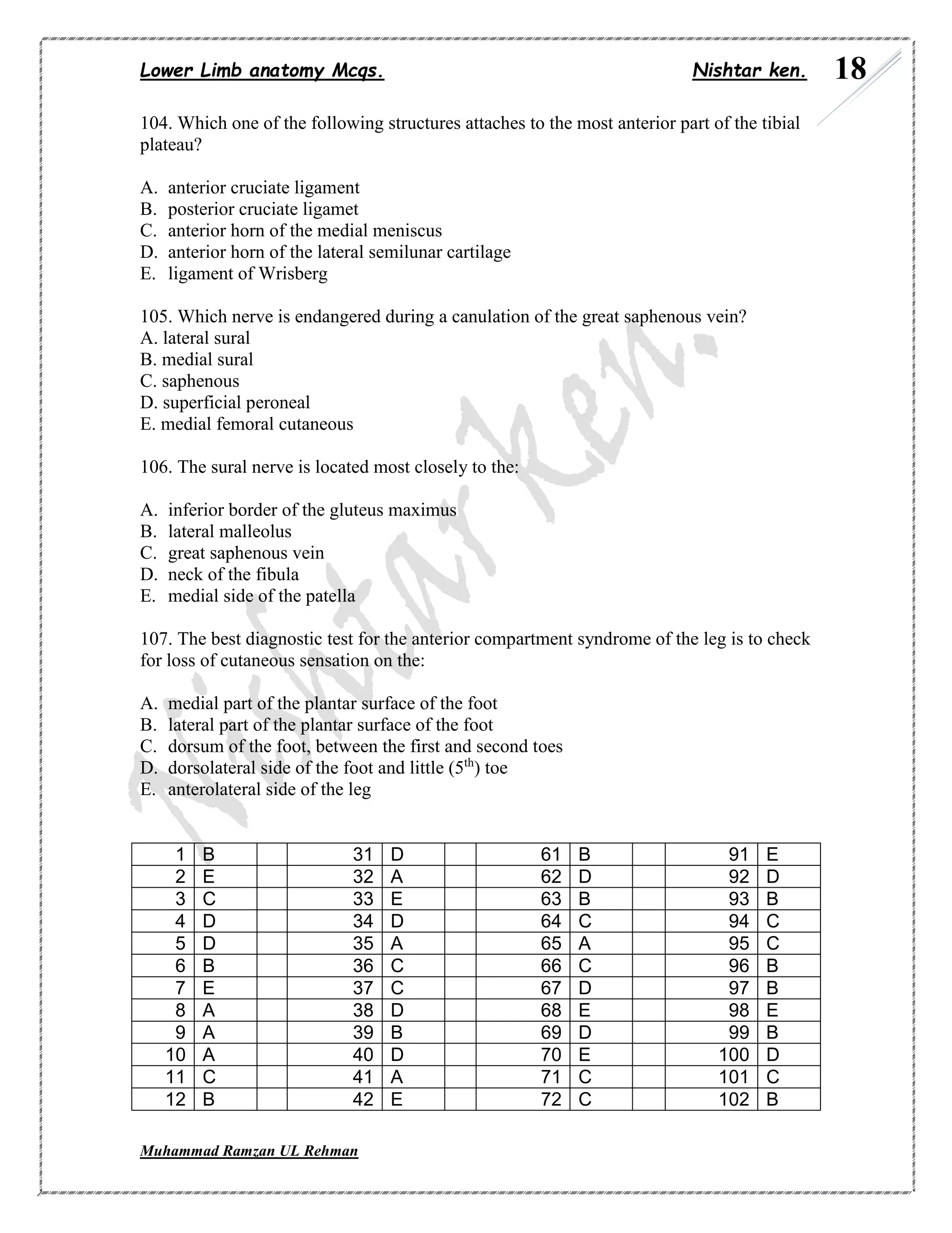 Lower limb MCQs | PDF
