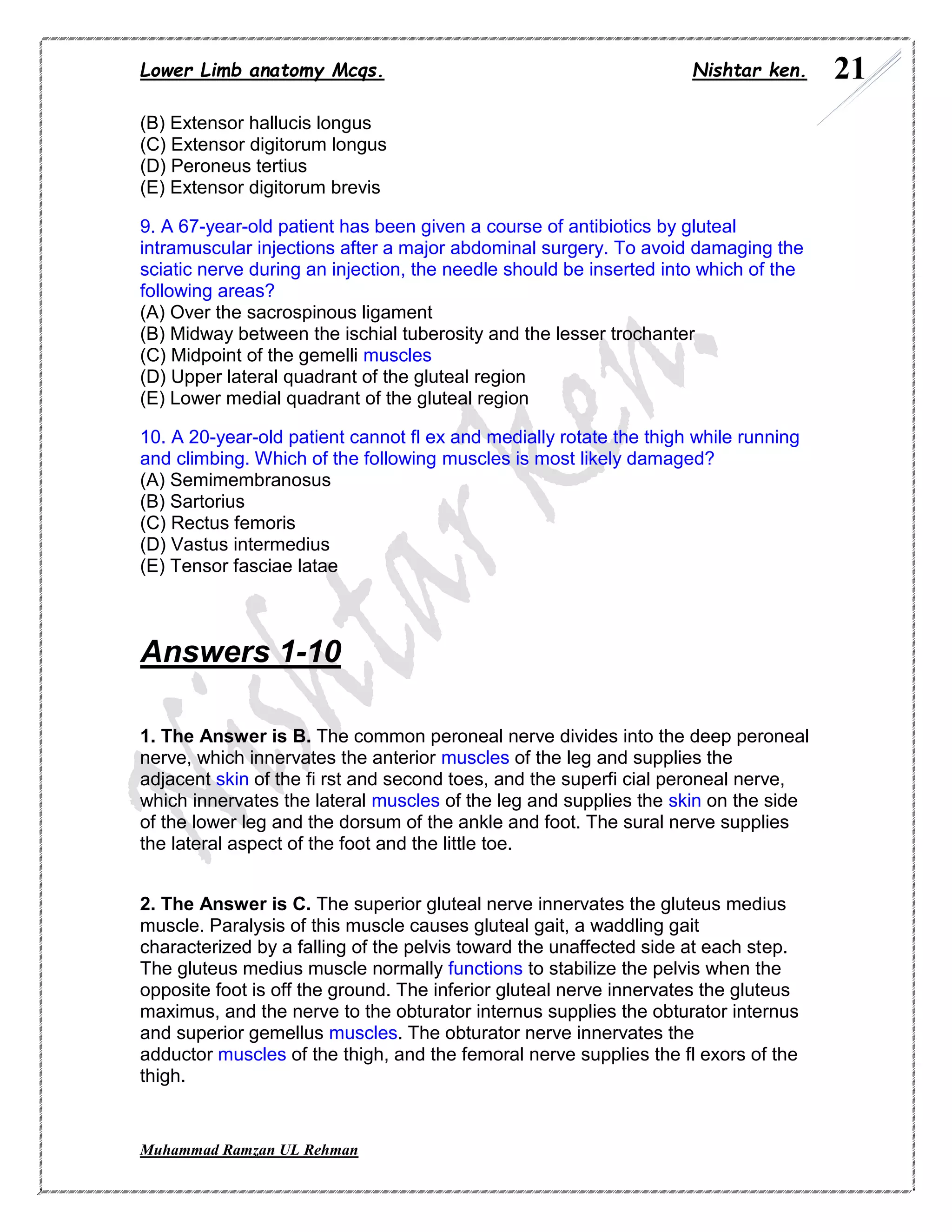 Lower limb MCQs | PDF