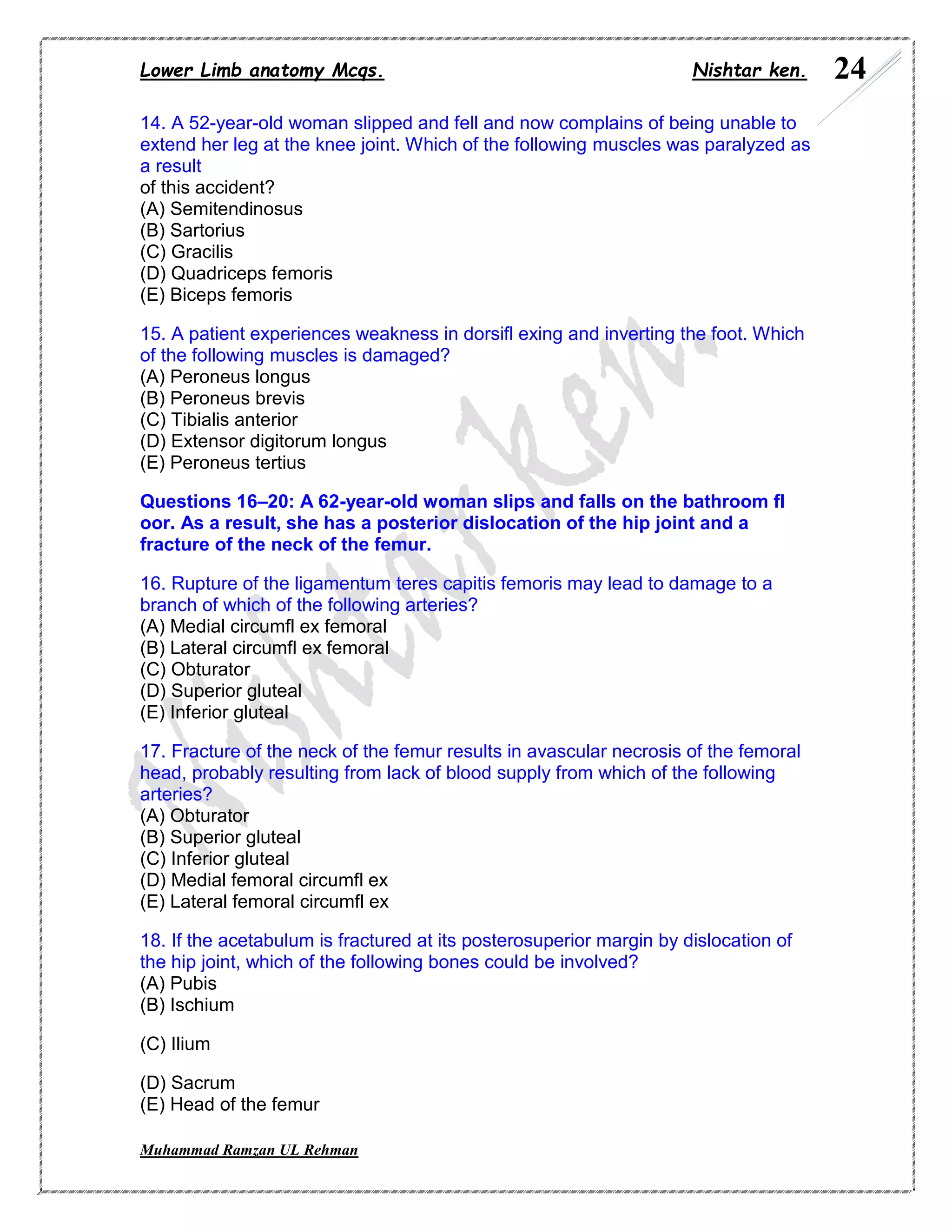 Lower limb MCQs | PDF