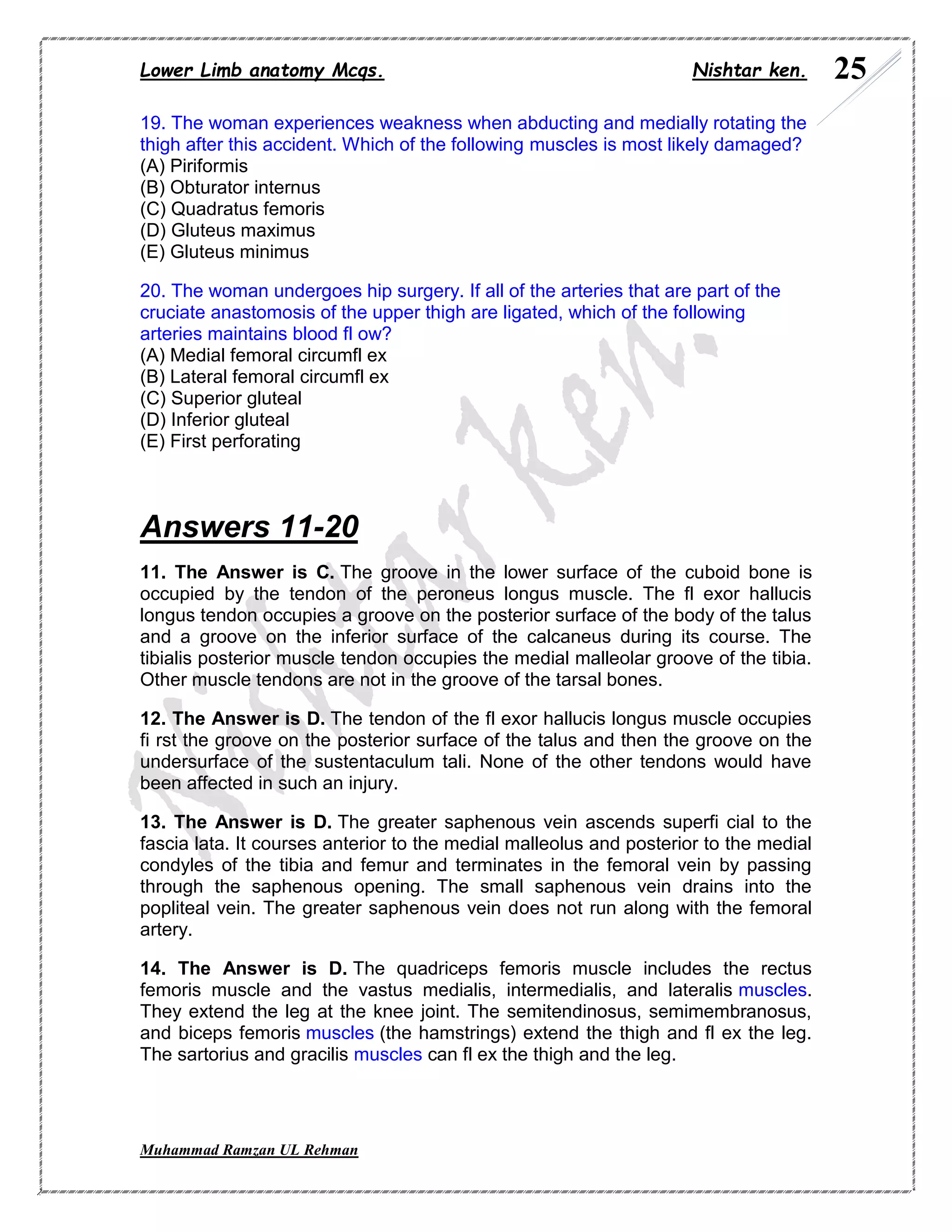 Lower limb MCQs | PDF