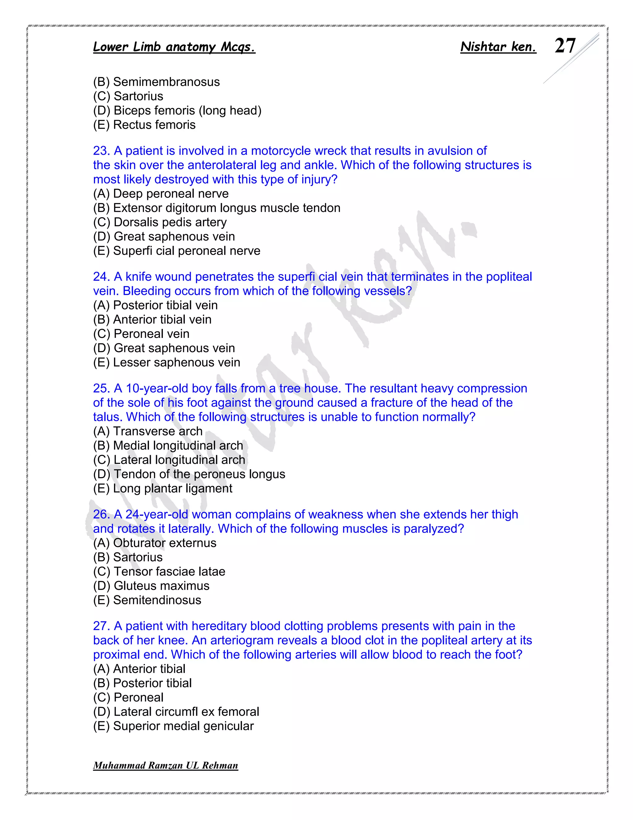 Lower limb MCQs | PDF