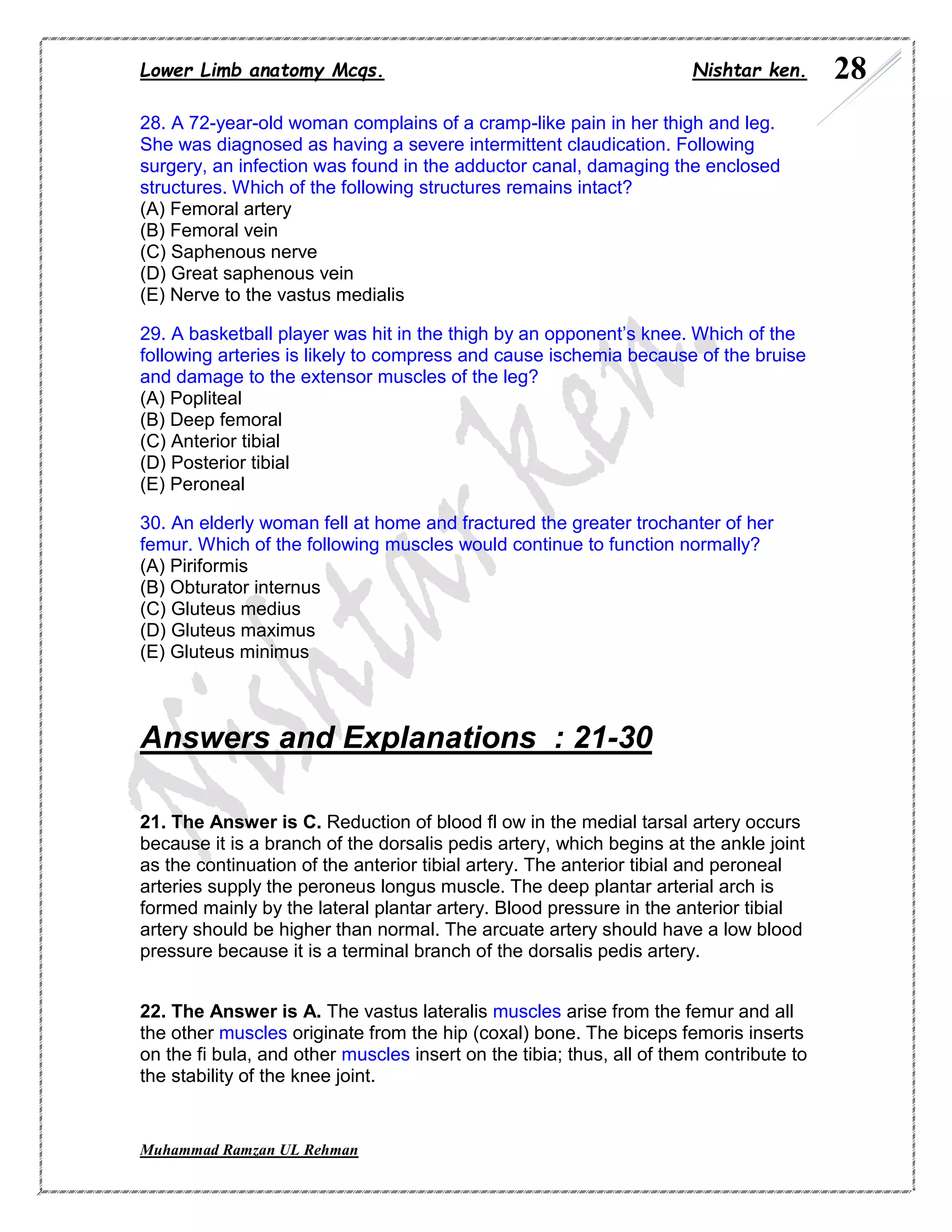 Lower limb MCQs | PDF
